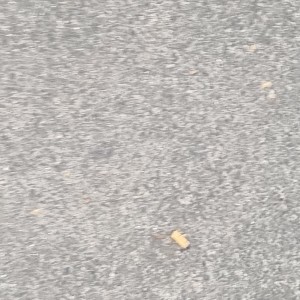 Mental Health Foundation NZ - Anthony CRUM